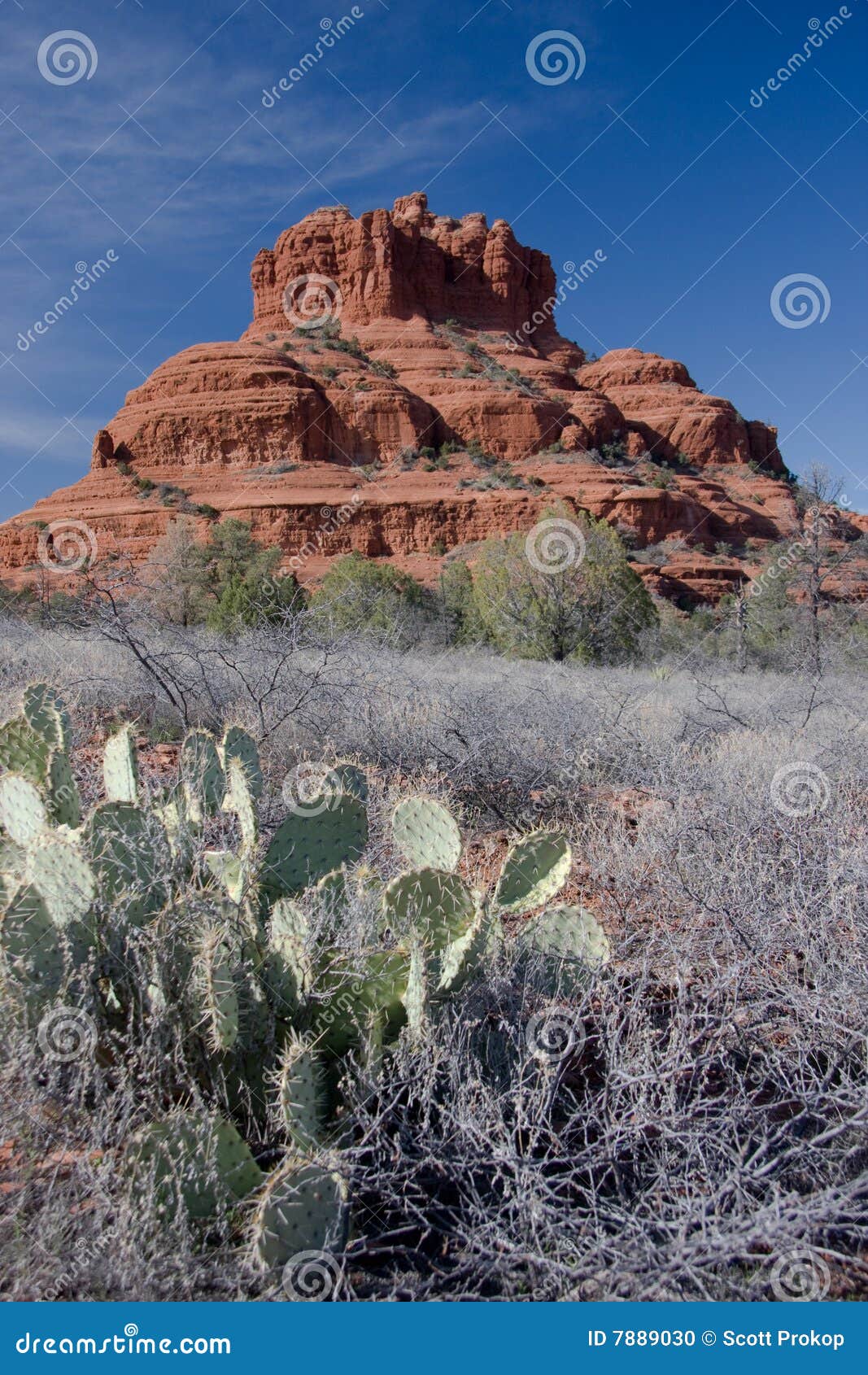 Bell Rock stock photo. Image of nature, mountain, coconino - 7889030