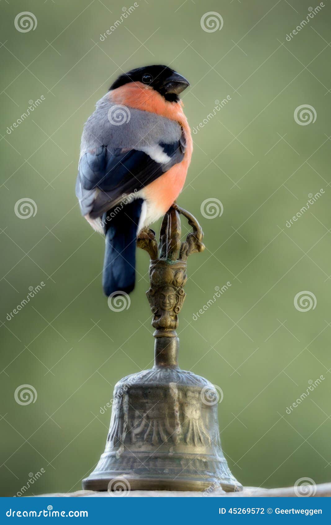 Bell stand stock photo. Image of music, standing, bullfinch - 45269572