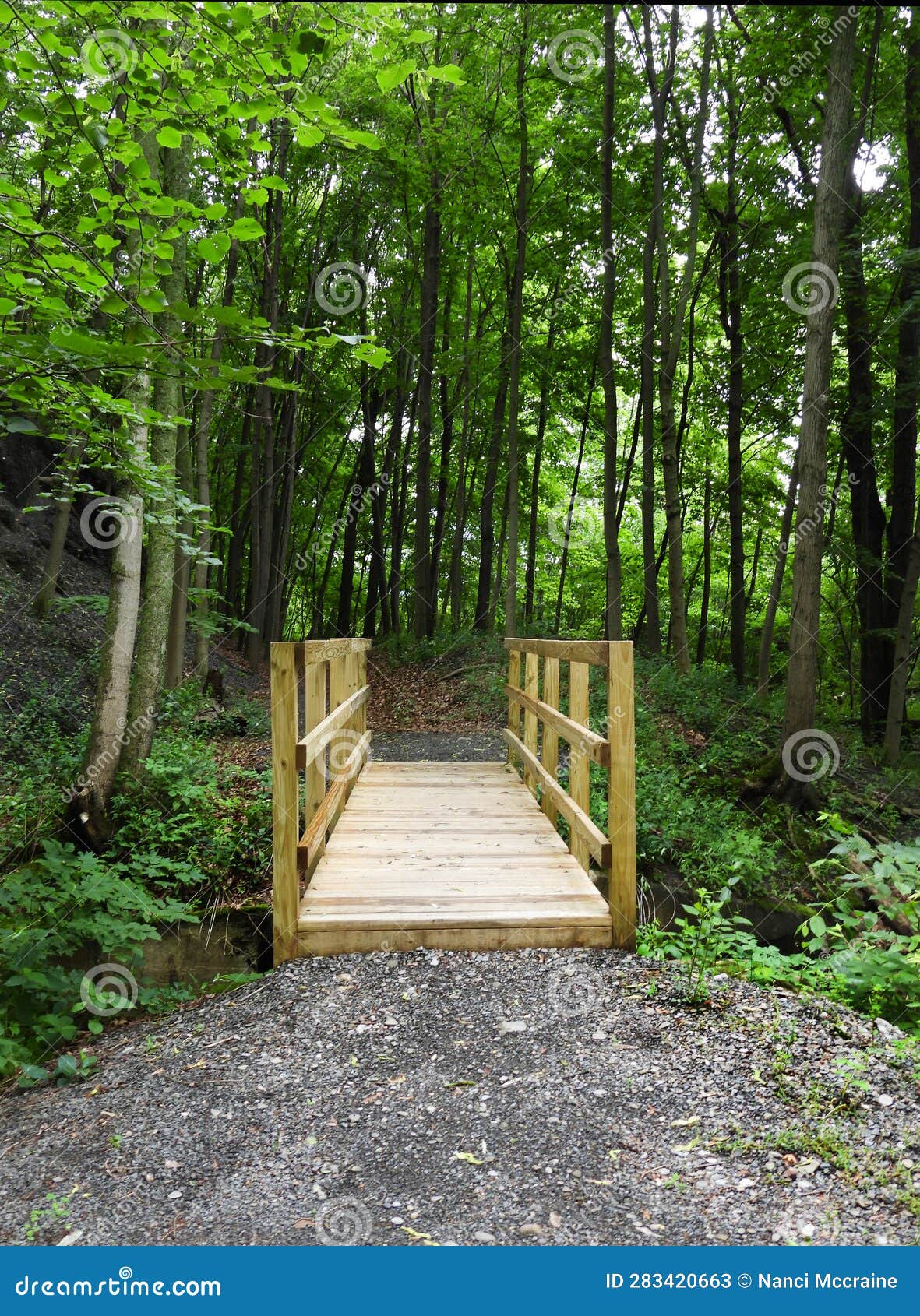 Bell Station Trail Bridge on Cayuga Lake Nature Preserve Stock Image ...
