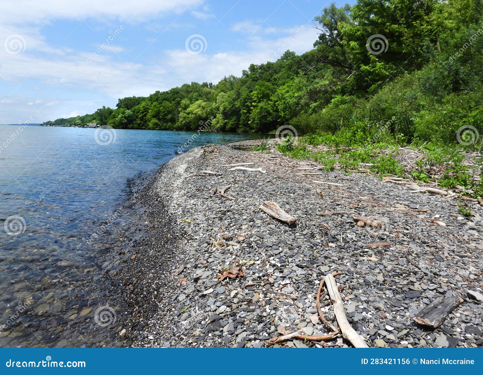 Bell Station Looking North on Cayuga Lake FingerLakes Stock Photo ...