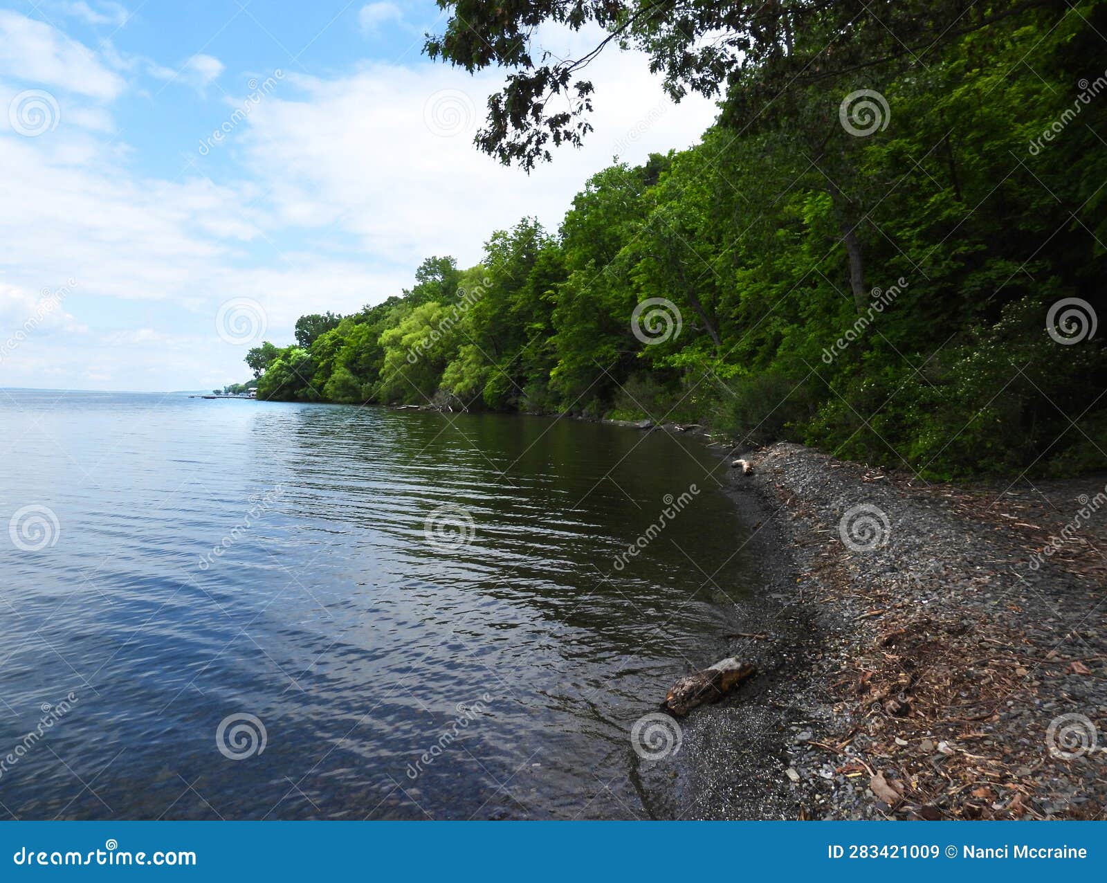 Bell Station Looking North on Cayuga Lake Shoreline Stock Image - Image ...