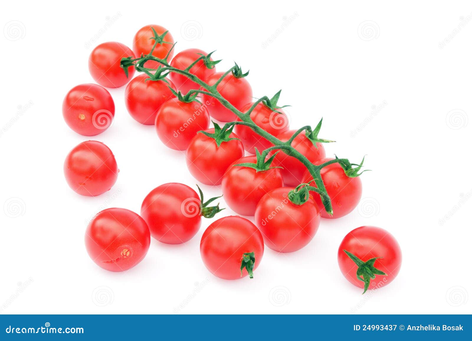 Bell tomatoes on the vine stock image. Image of nutrient - 24993437