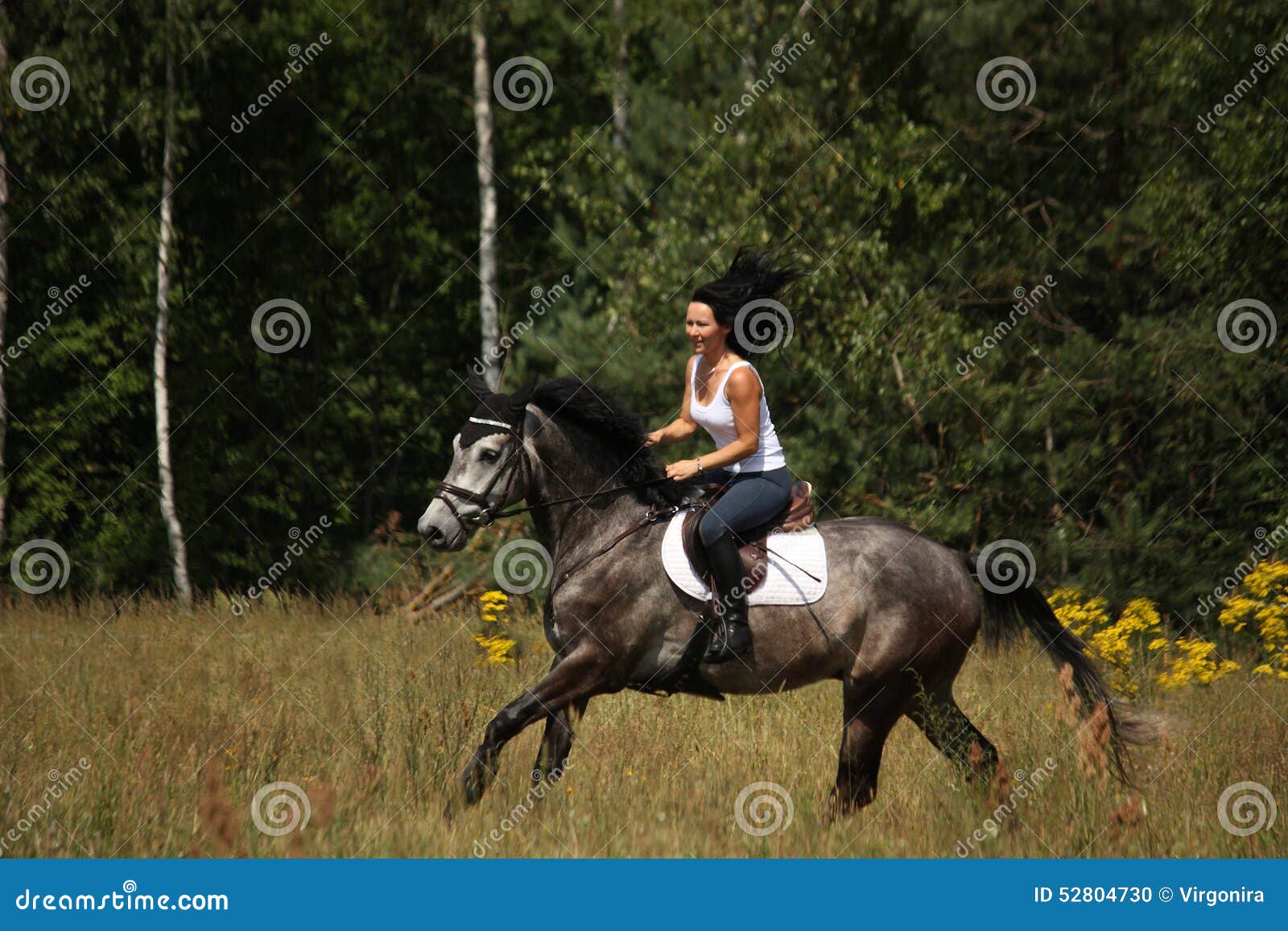 Bella Donna Che Monta Cavallo Grigio Nella Foresta Fotografia Stock ...