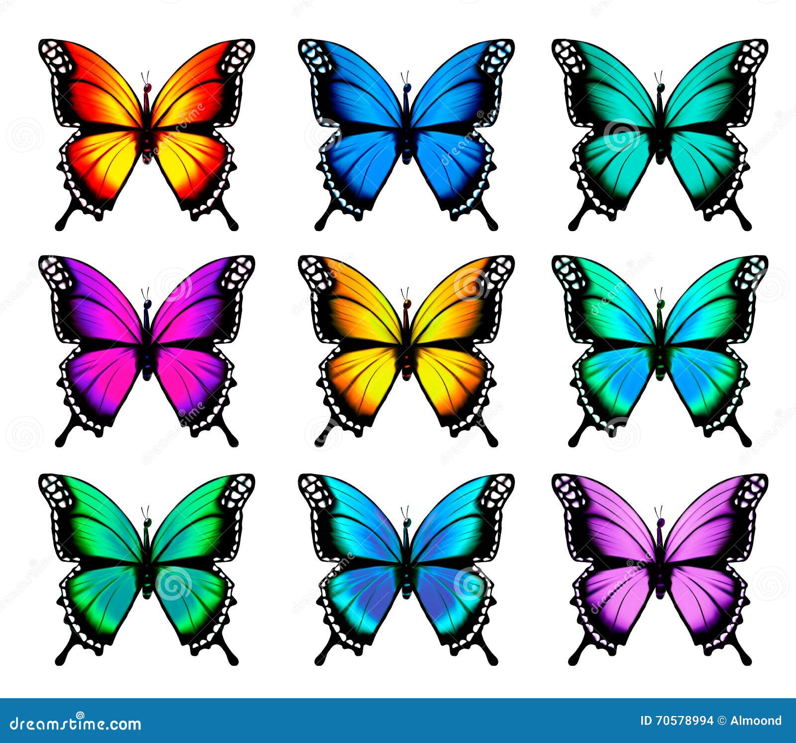 Bella Farfalla Arancio Nelle Posizioni Differenti Illustrazione Vettoriale - Illustrazione di ...