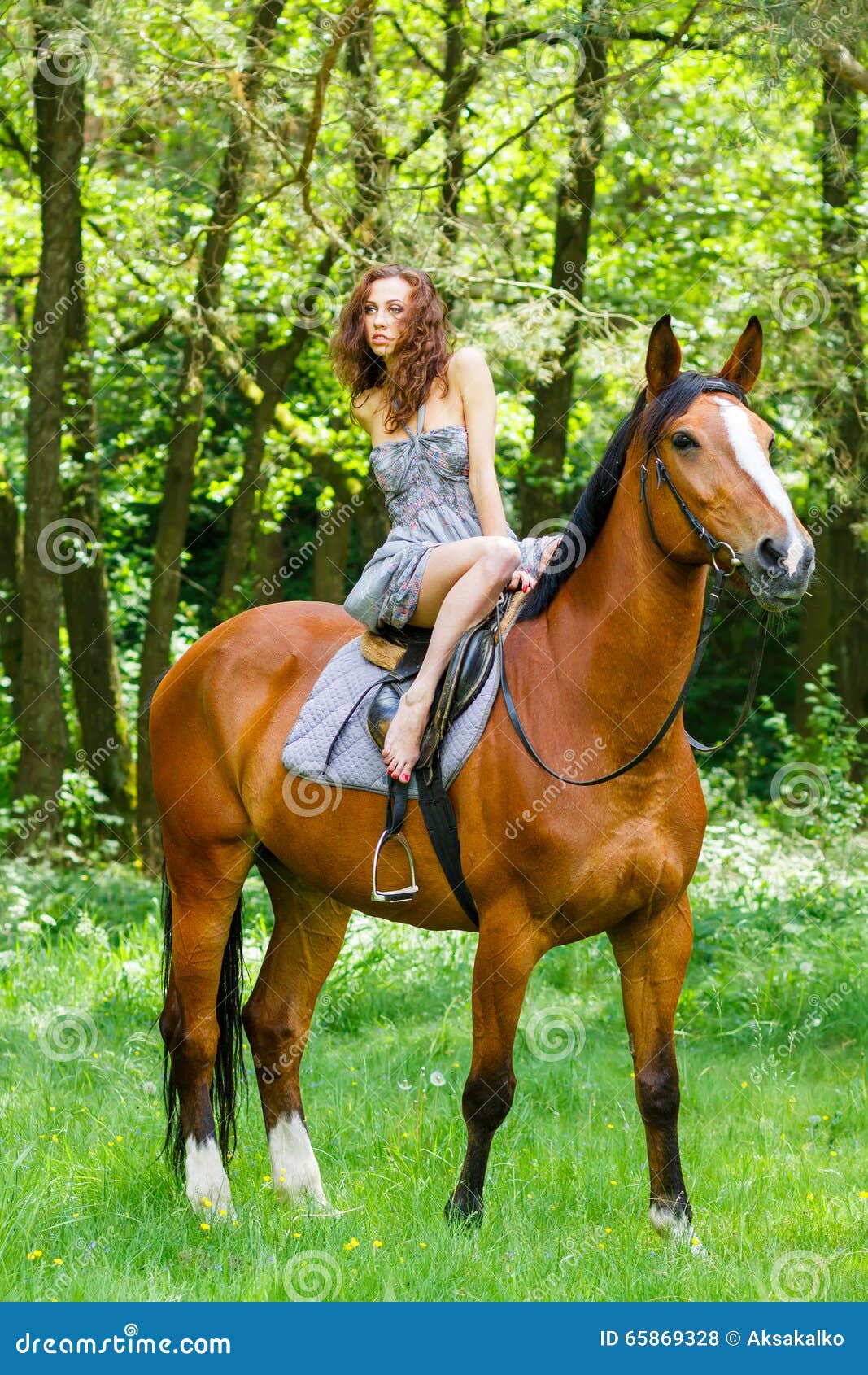 Bella ragazza sul cavallo fotografia stock. Immagine di caucasico ...