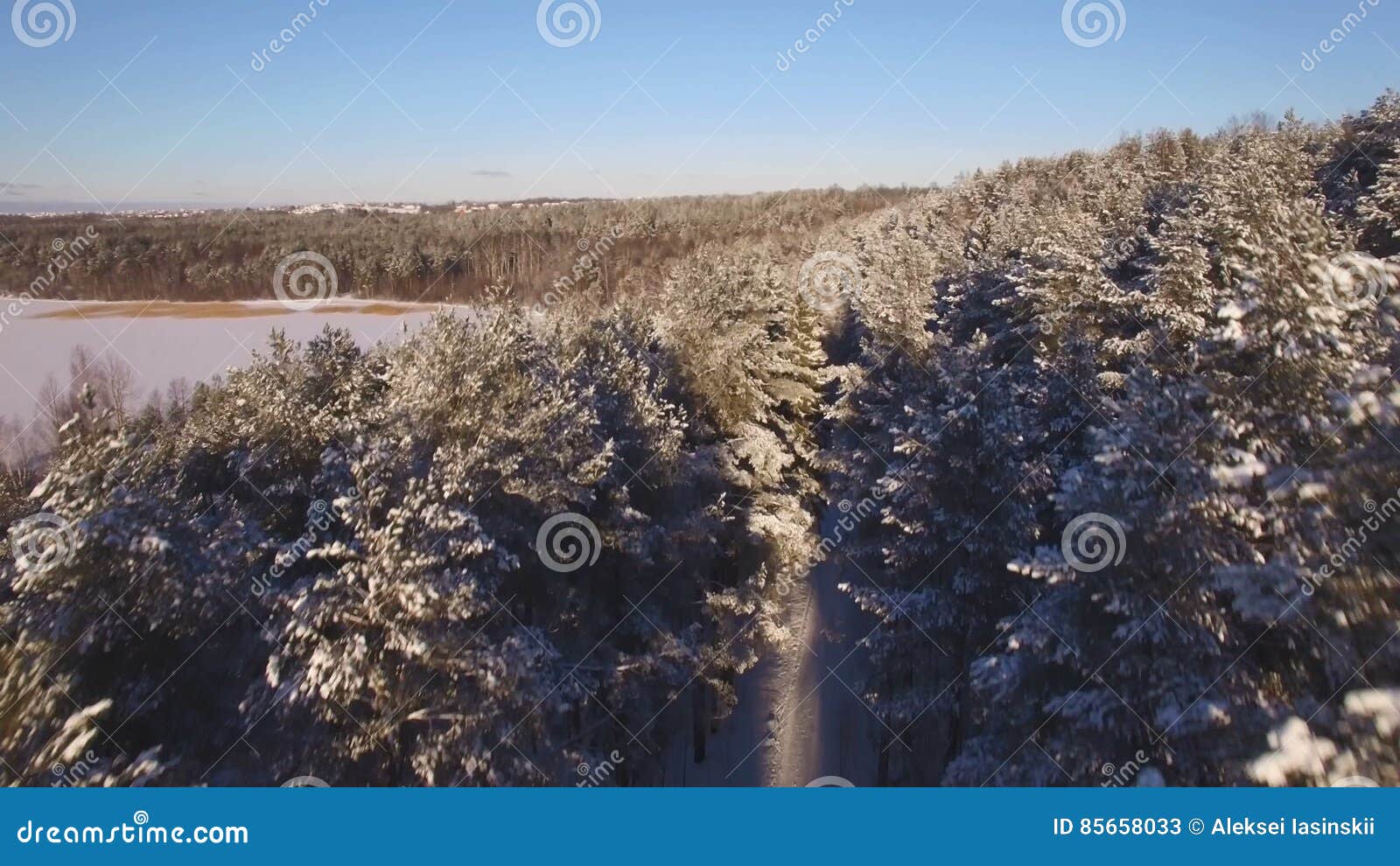 Bella Vista Aerea Della Foresta Innevata Archivi Video - Video di ...