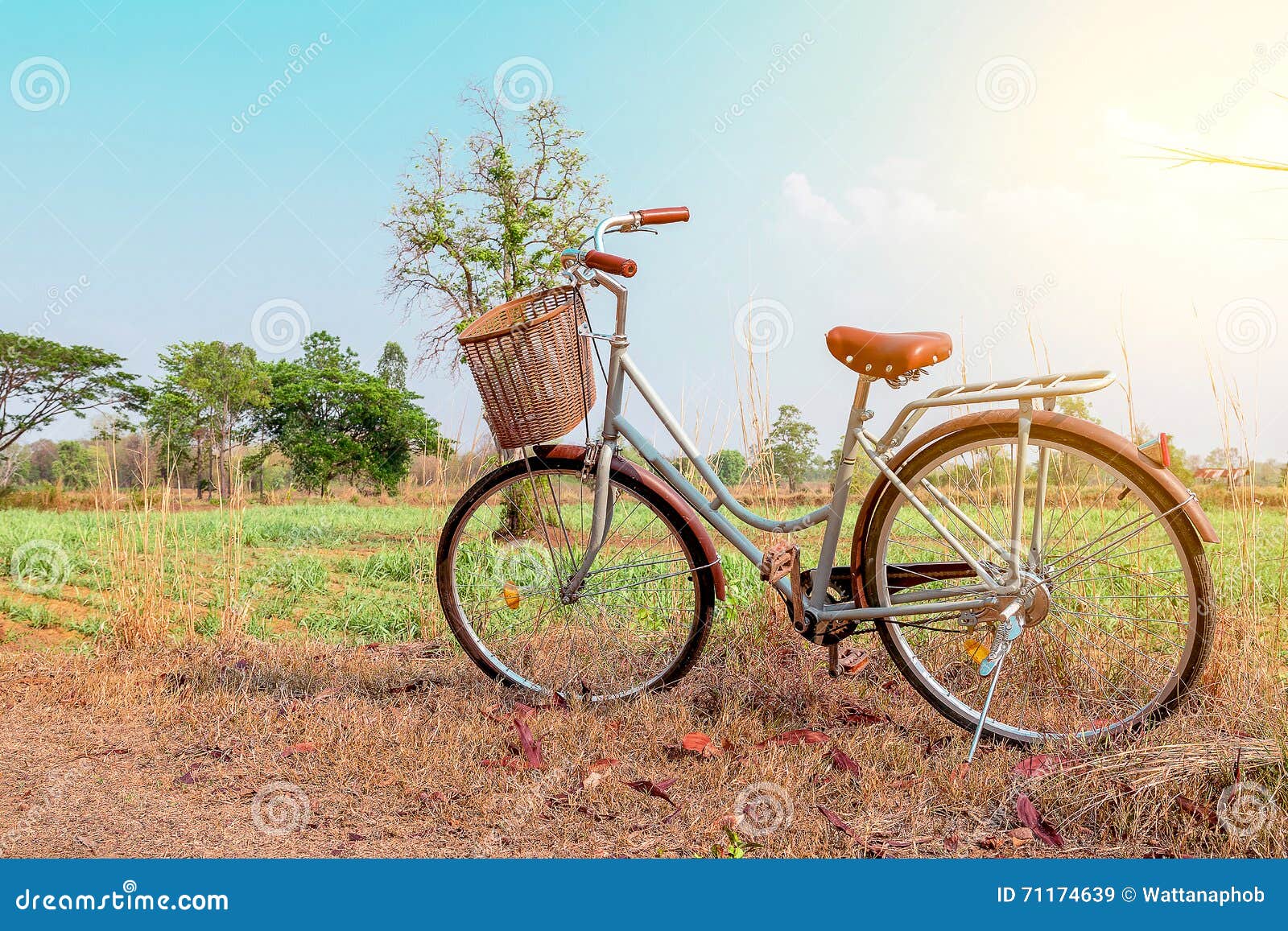 Belle Bicyclette De Vintage Image stock - Image du heureux, vélo: 71174639