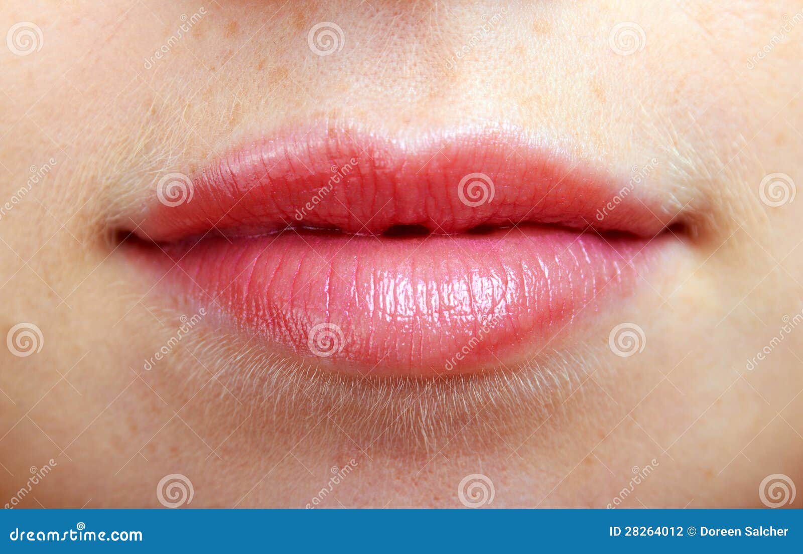 Belle Bouche D'une Femme Photographie stock - Image: 28264012