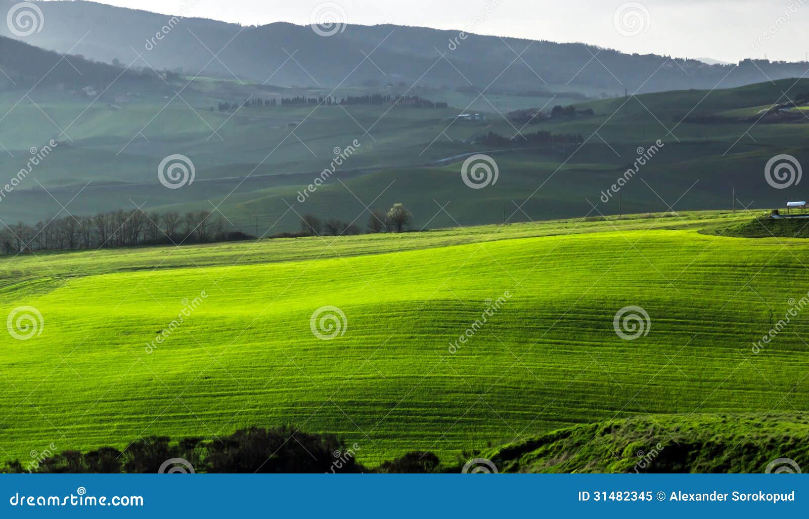 Belle Colline Verdi in Toscana Immagine Stock - Immagine di agricoltura ...