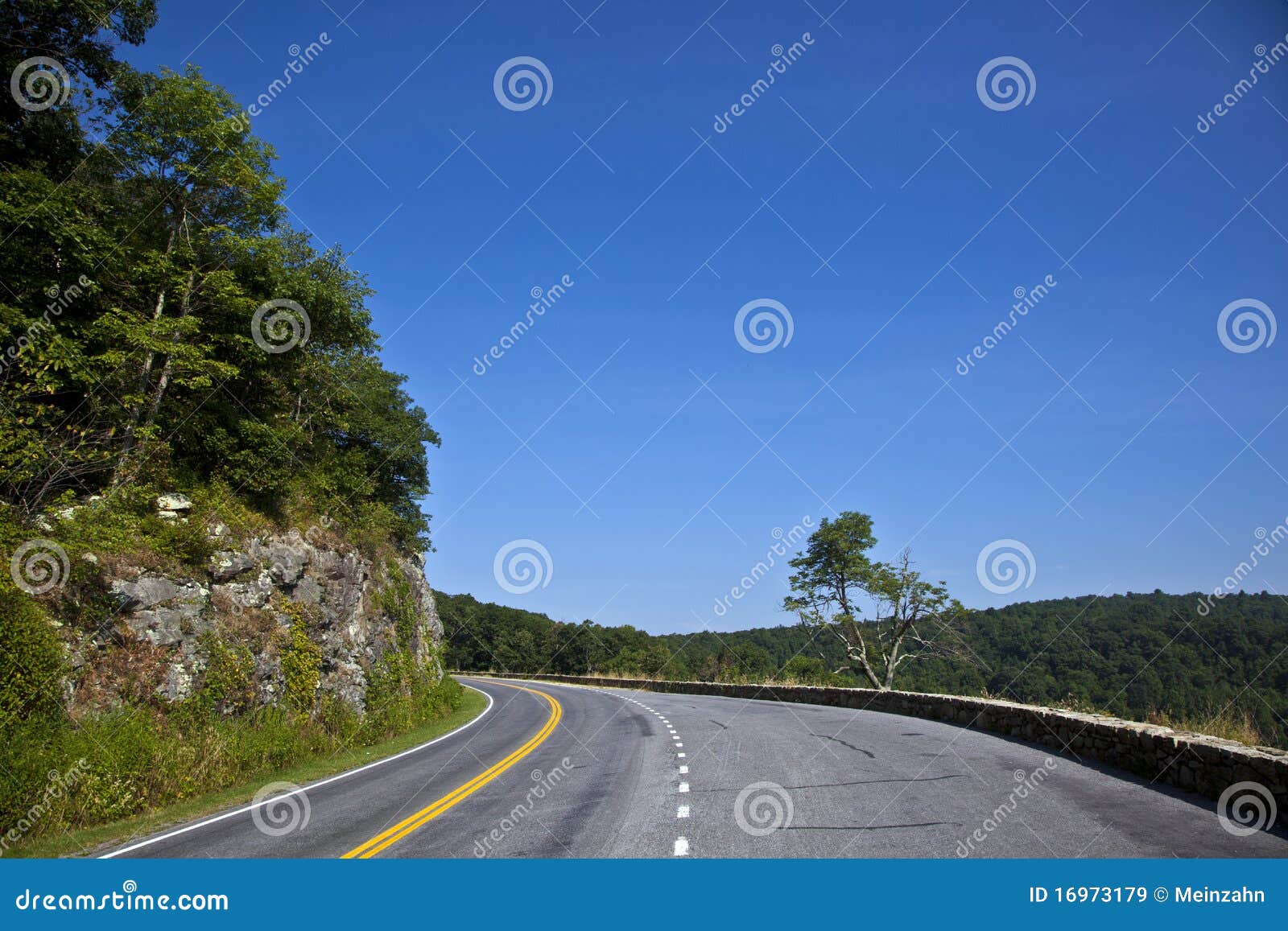 Belle Curve Sceniche Della Strada Campestre in Foresta Immagine Stock ...