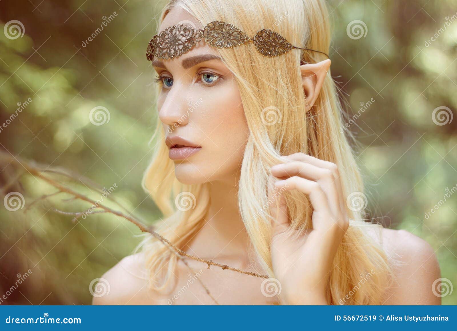 Belle Fille D'elfe D'imagination En Bois Image stock - Image du héros ...