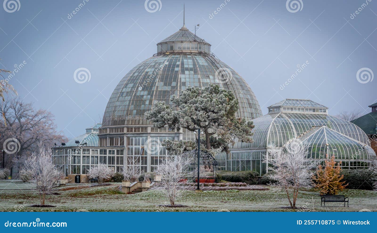 Belle Isle Conservatory Botanical Garden Stock Image - Image of spring ...