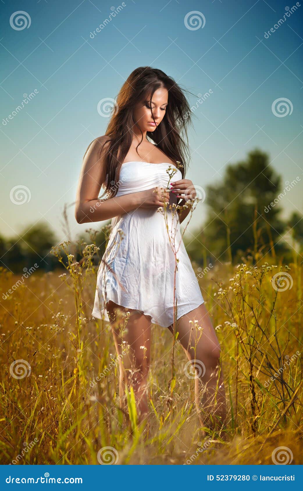 Belle Jeune Femme Dans Le Domaine De Fleurs Sauvages Sur Le Fond De