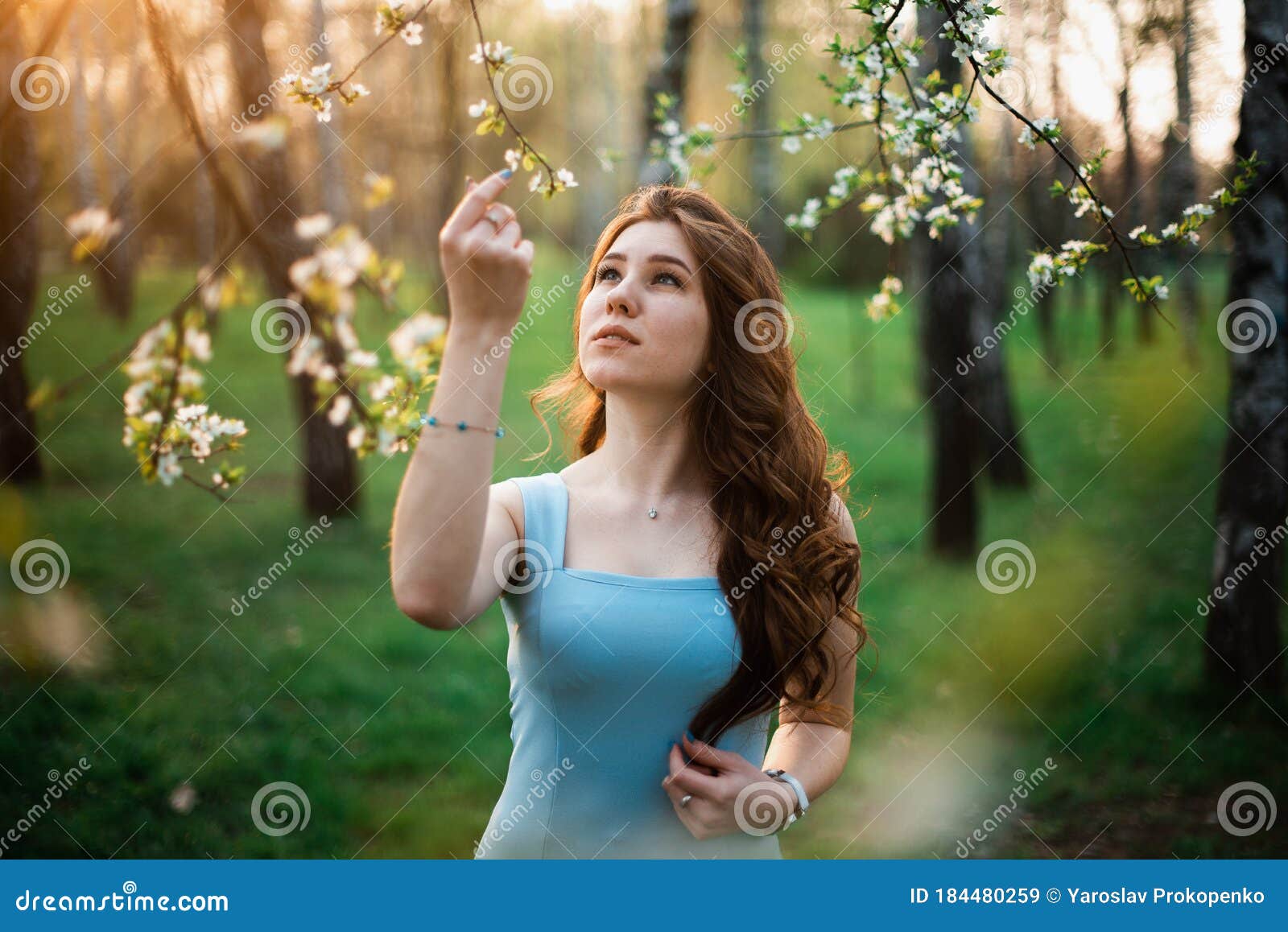 Belle Jeune Fille En Robe Bleue Dans Un Parc De Printemps Image Stock
