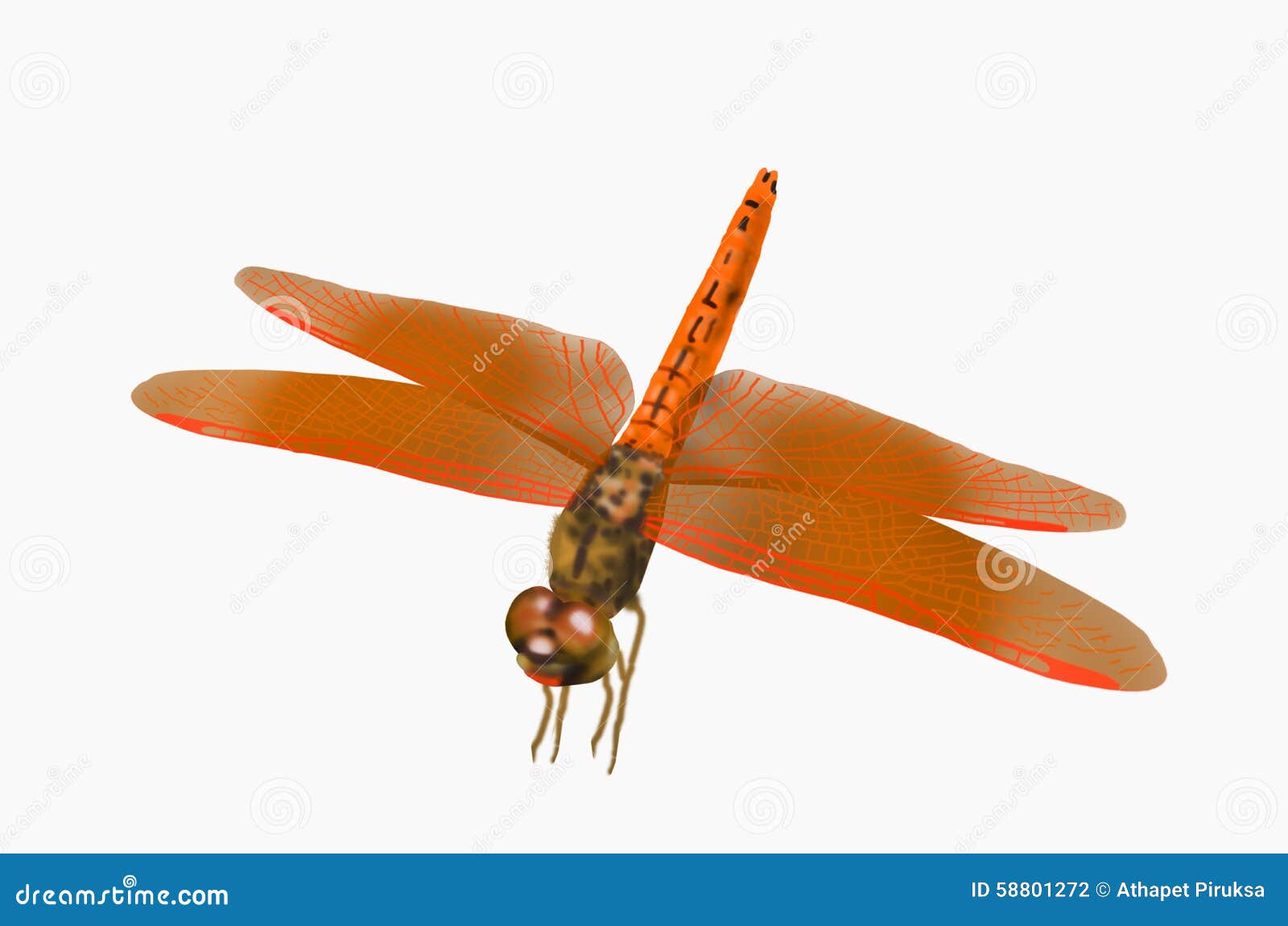 Belle libellule rouge illustration stock. Illustration du mouche - 58801272