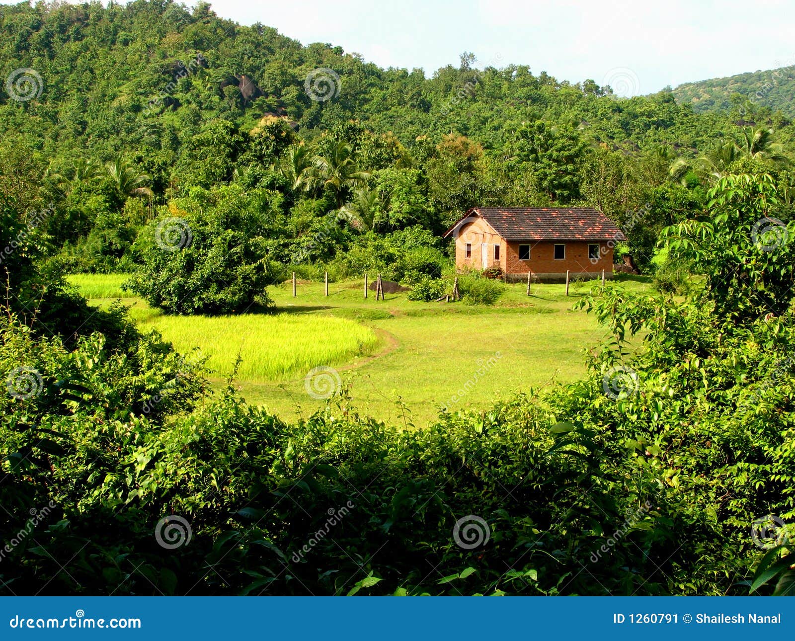 Belle maison rurale image stock. Image du effacement, forêt - 1260791