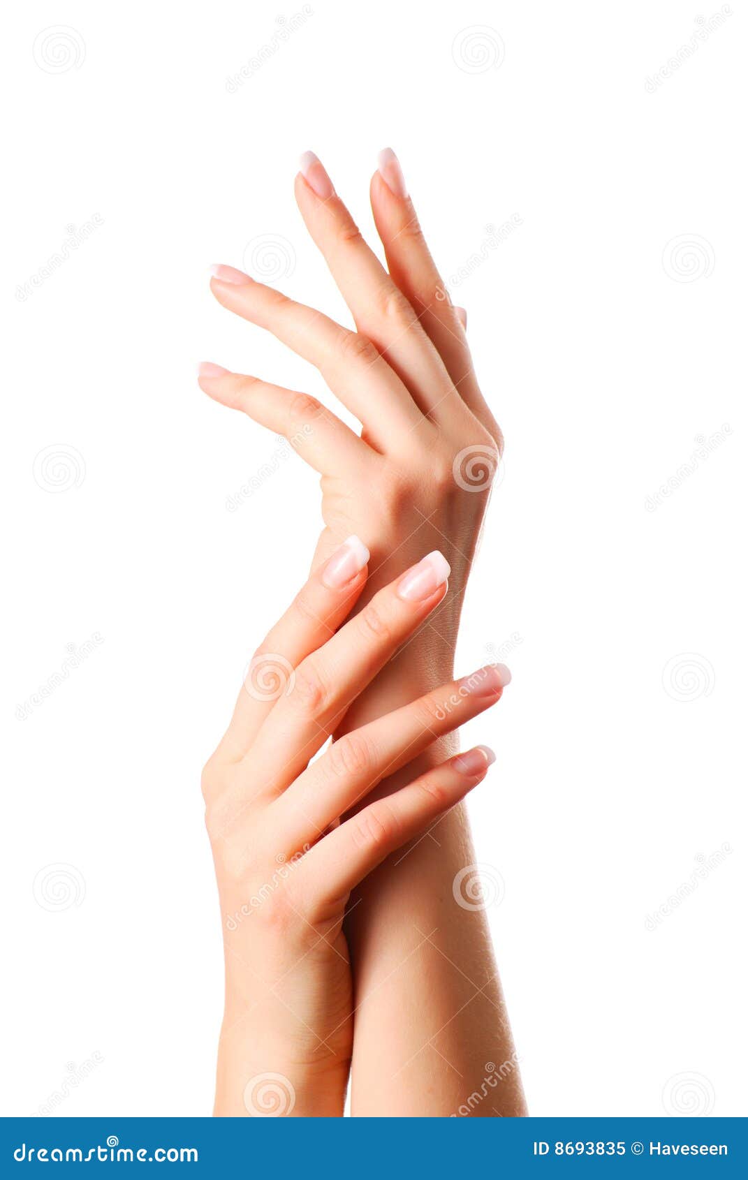 Belle mani immagine stock. Immagine di unghia, francese - 8693835