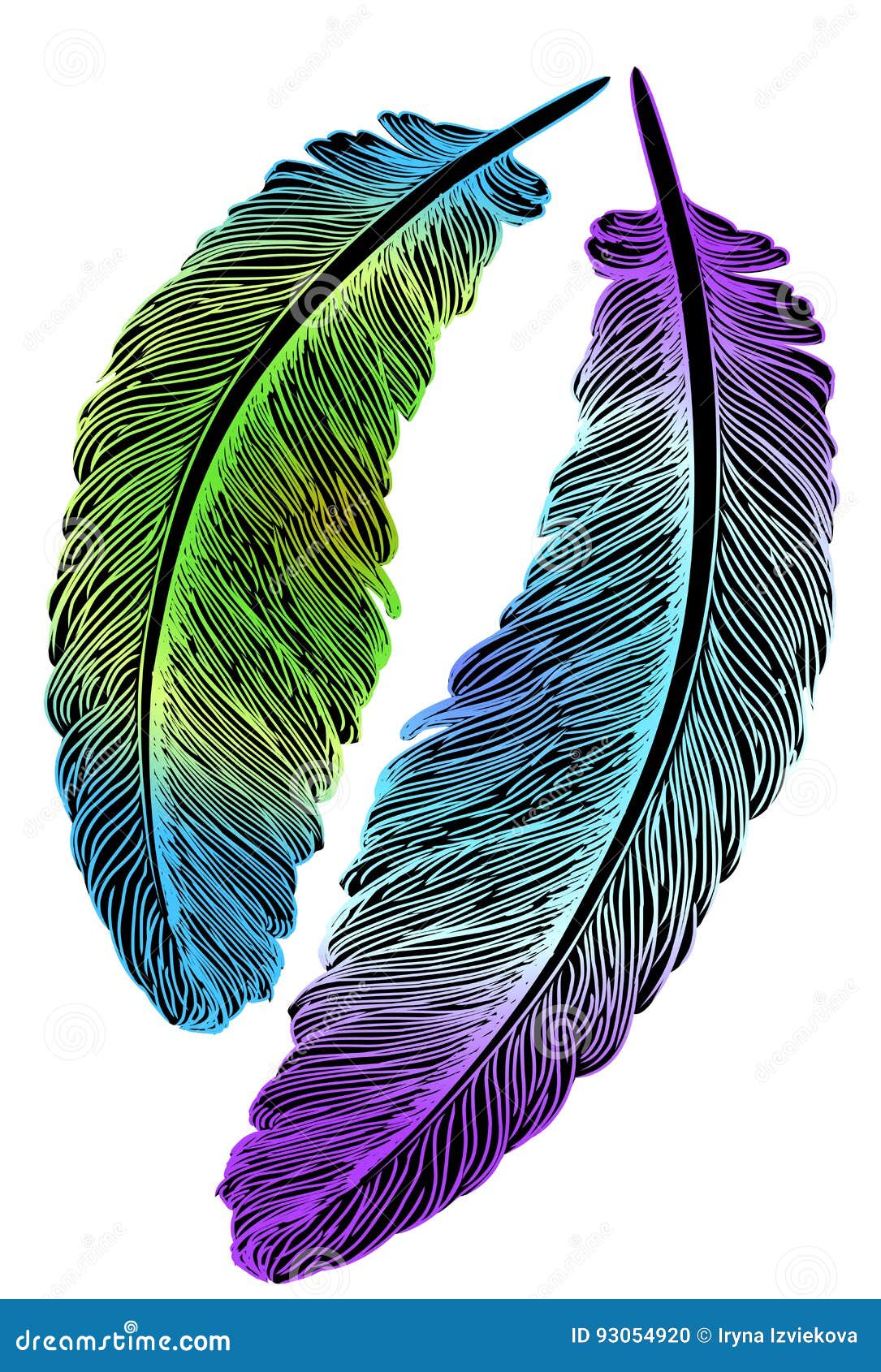 Belle Piume Colorate Per Il Collettore Dei Sogni Illustrazione di Stock ...