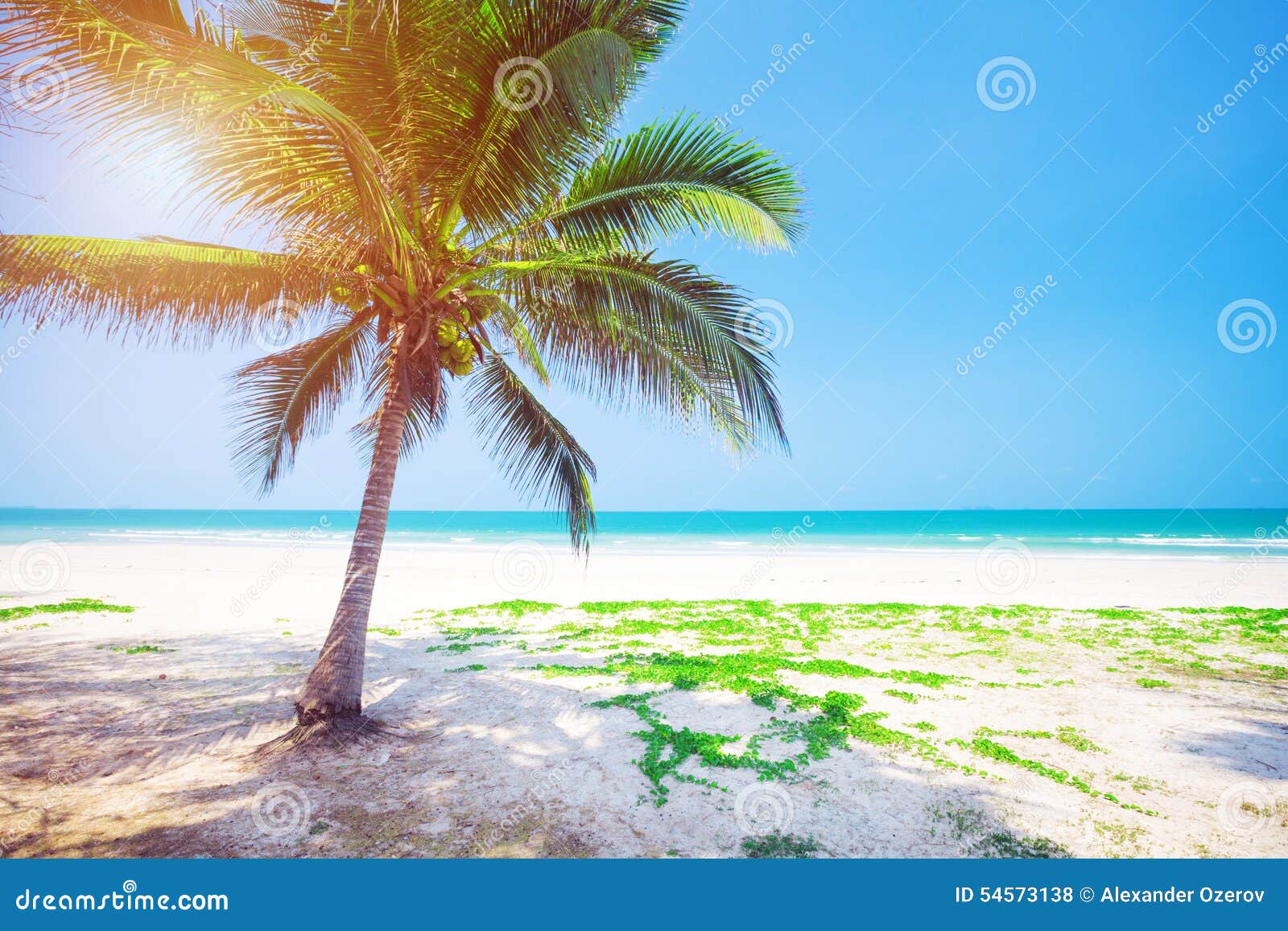 Belle Plage Avec Le Cocotier Photo stock - Image du fond, vacances ...