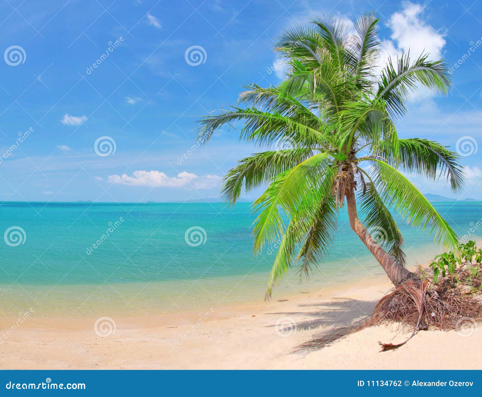 Belle Plage Avec Le Cocotier Et La Mer Photo stock - Image of coloré ...