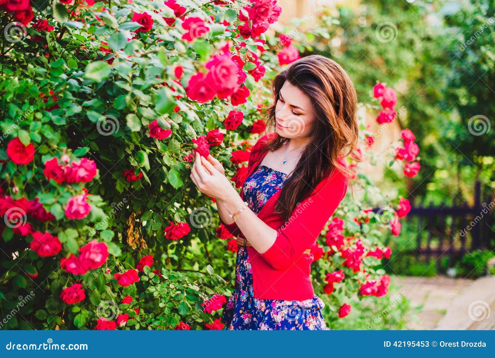 Belle ragazza e rose rosse immagine stock. Immagine di faccia - 42195453