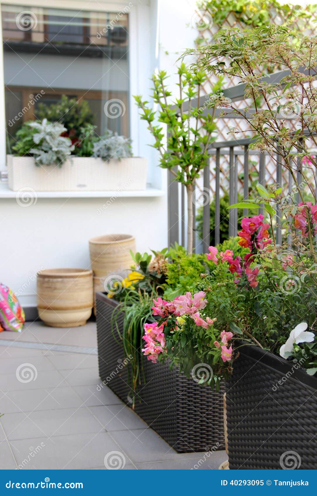 Belle Terrasse Moderne Avec Beaucoup De Fleurs Image stock - Image du ...