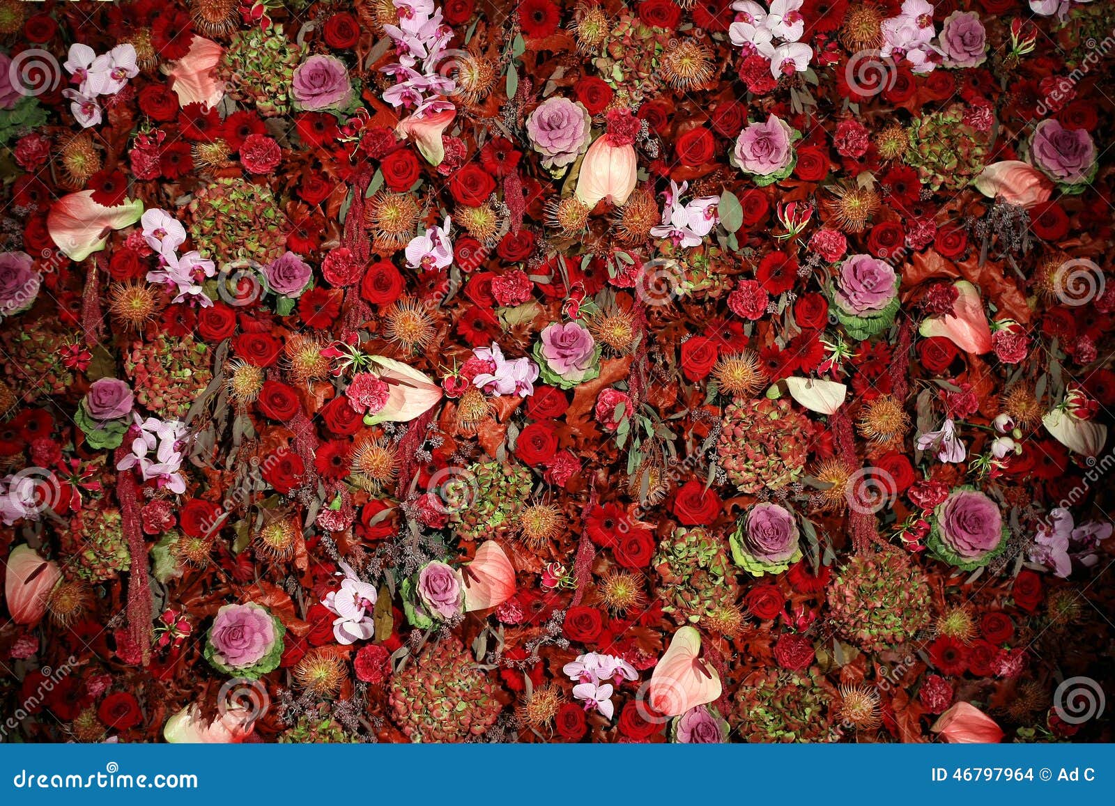 Belle Texture Naturelle De Mur De Fleur Photo stock - Image du fond ...