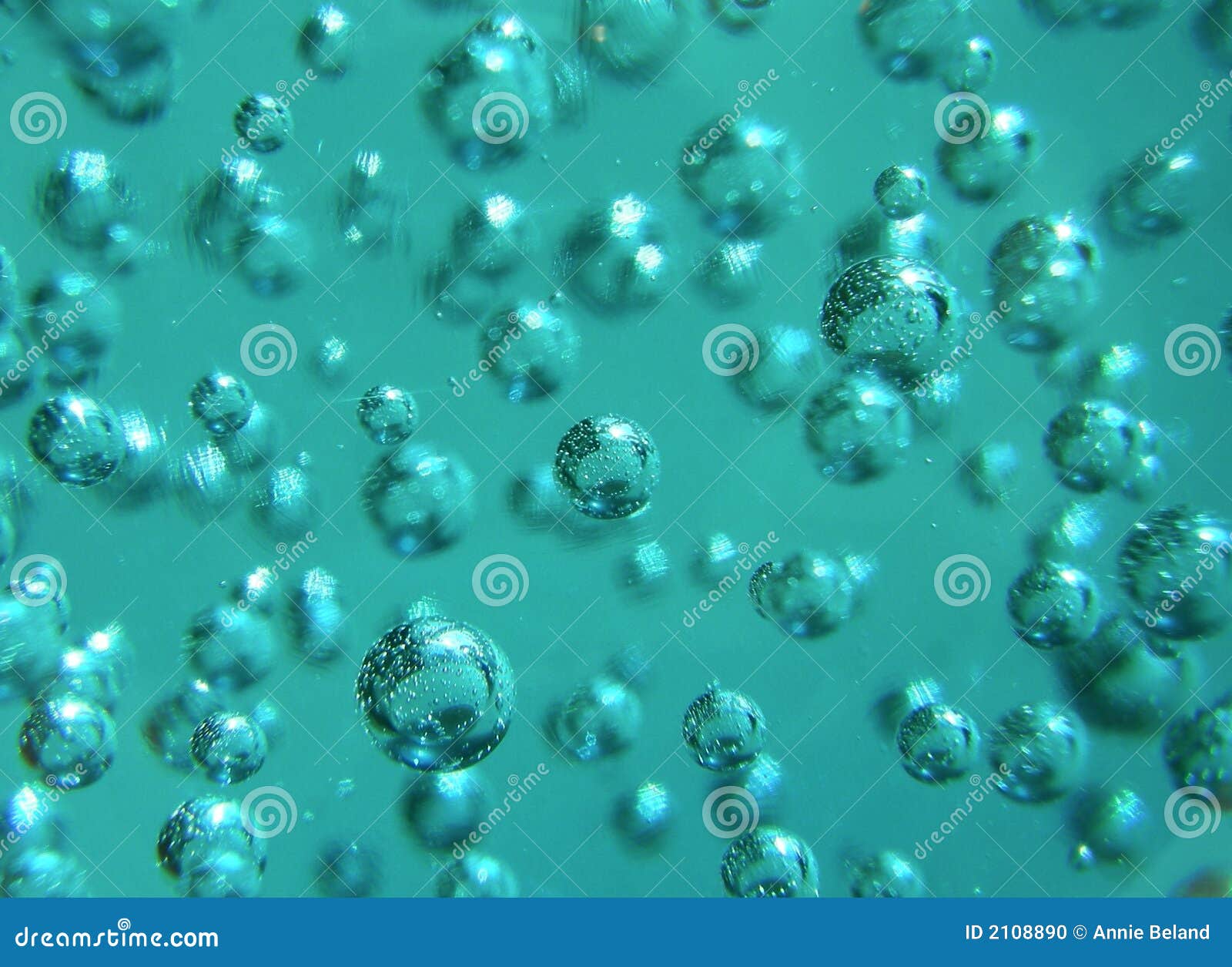 Bellen (cyaan) stock foto. Image of bruisend, premie, mooi - 2108890