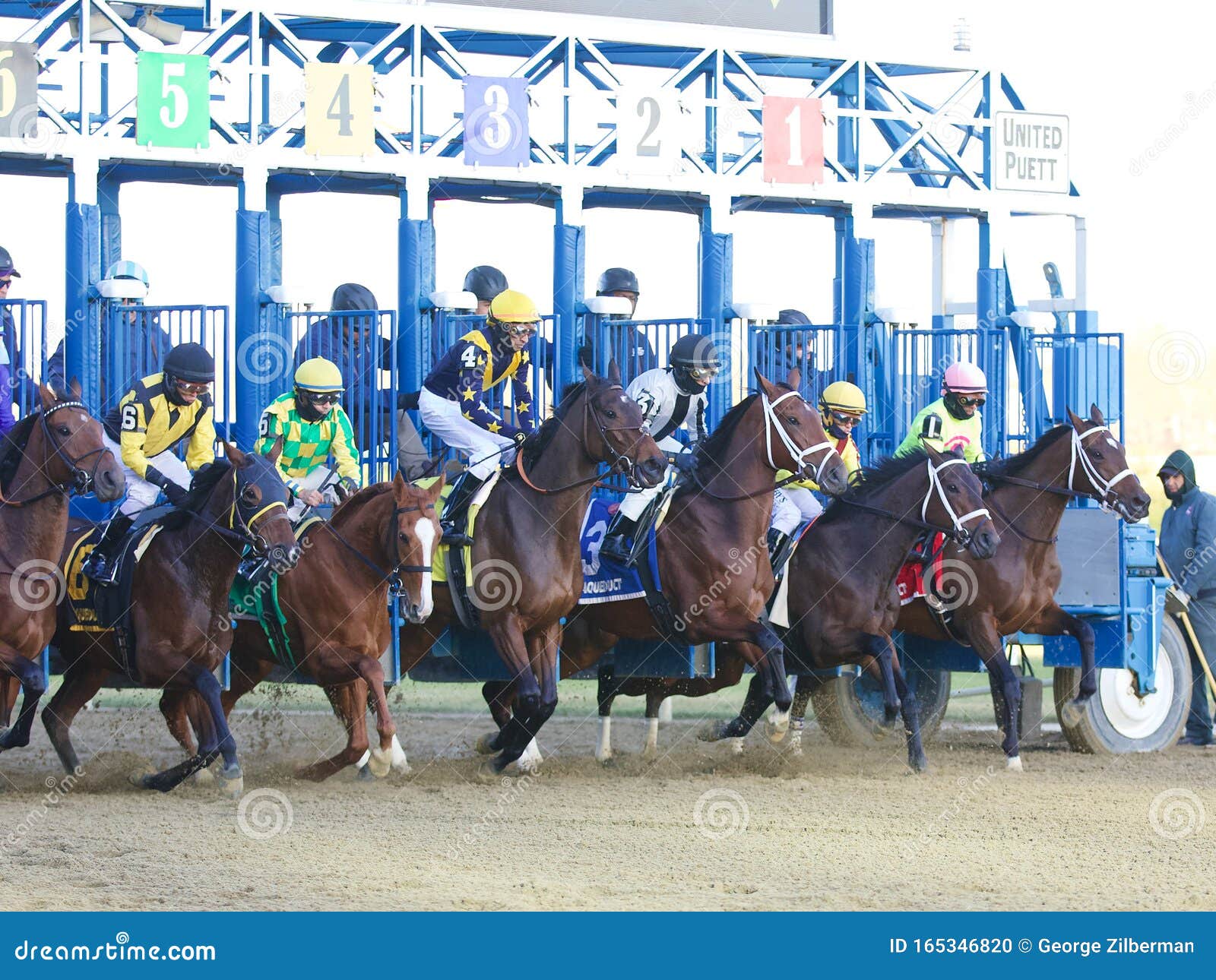 Bellera by Bernardini in the Comely Stakes Editorial Image - Image of ...