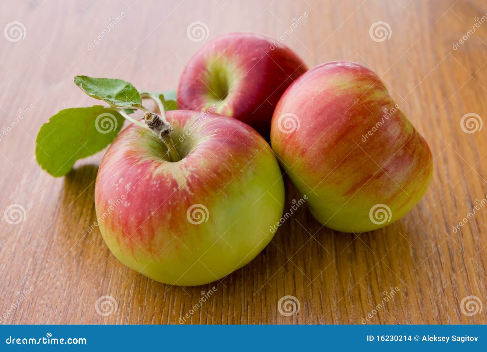 Belles Pommes Juteuses Avec Des Lames Photo stock - Image du jardin ...
