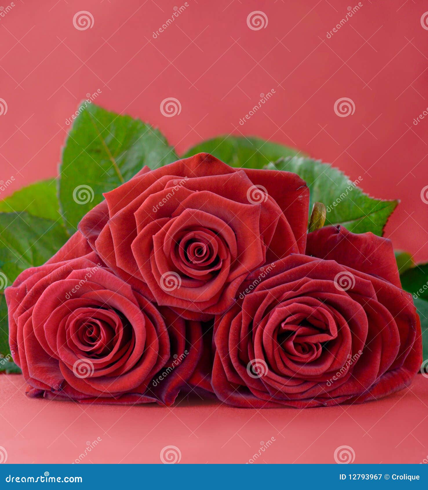 Belles roses image stock. Image du lames, rouge, romantique - 12793967