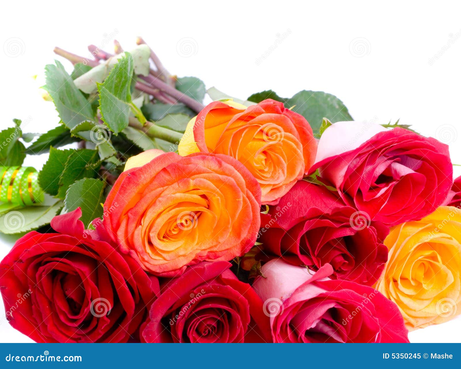 Belles roses rouges image stock. Image du rouge, vert - 5350245