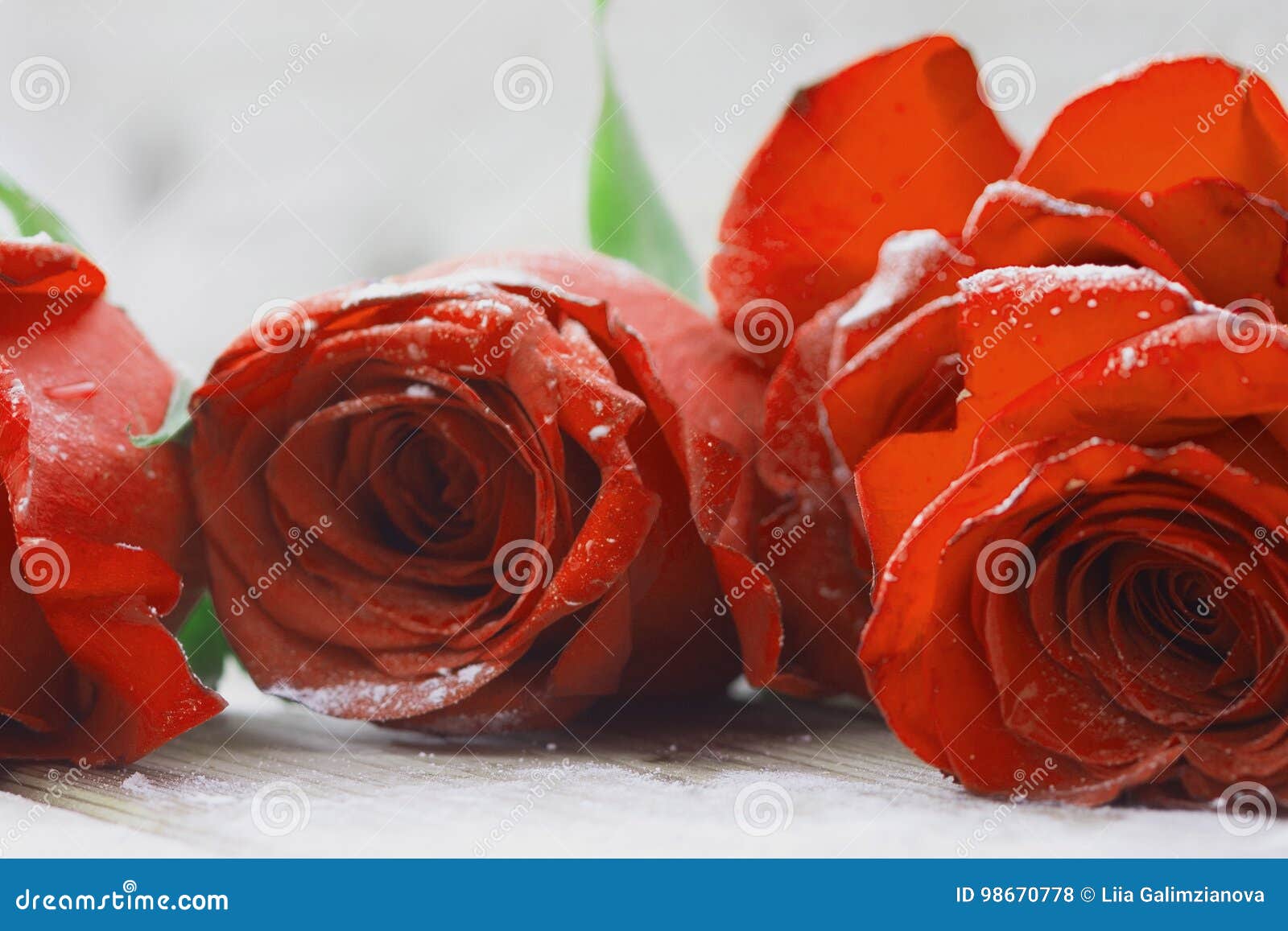 Belles roses rouges photo stock. Image du jour, bouquet - 98670778