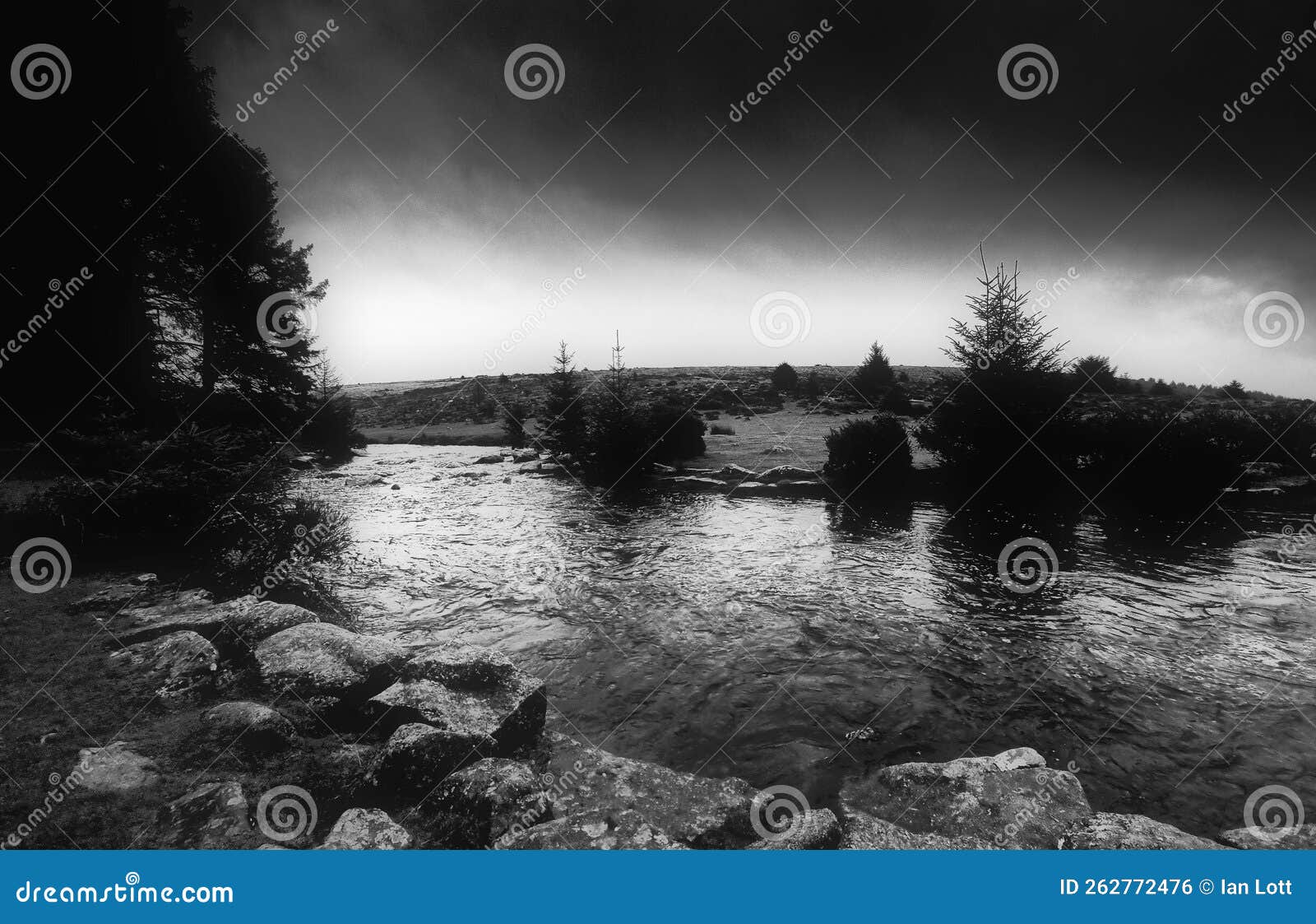 Bellever Forest Dartmoor National Park Devon Uk Stock Photo - Image of ...