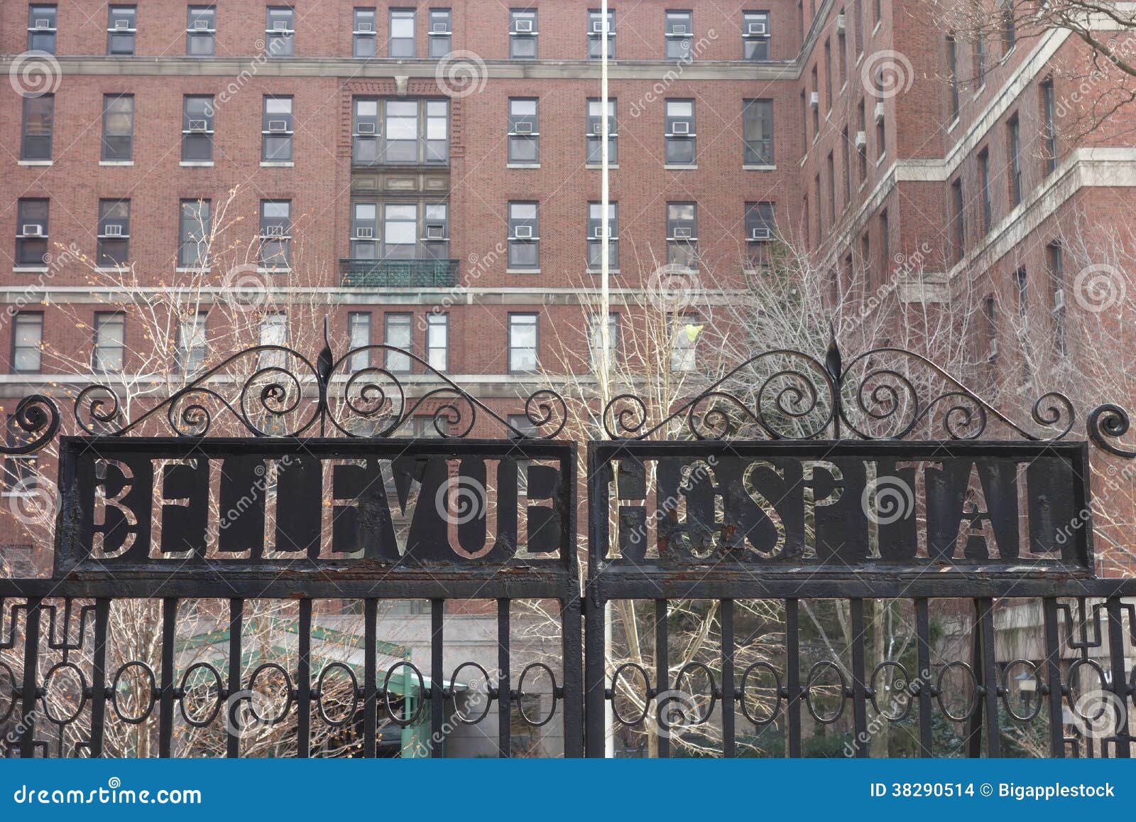 Bellevue Hospital editorial stock image. Image of york - 38290514