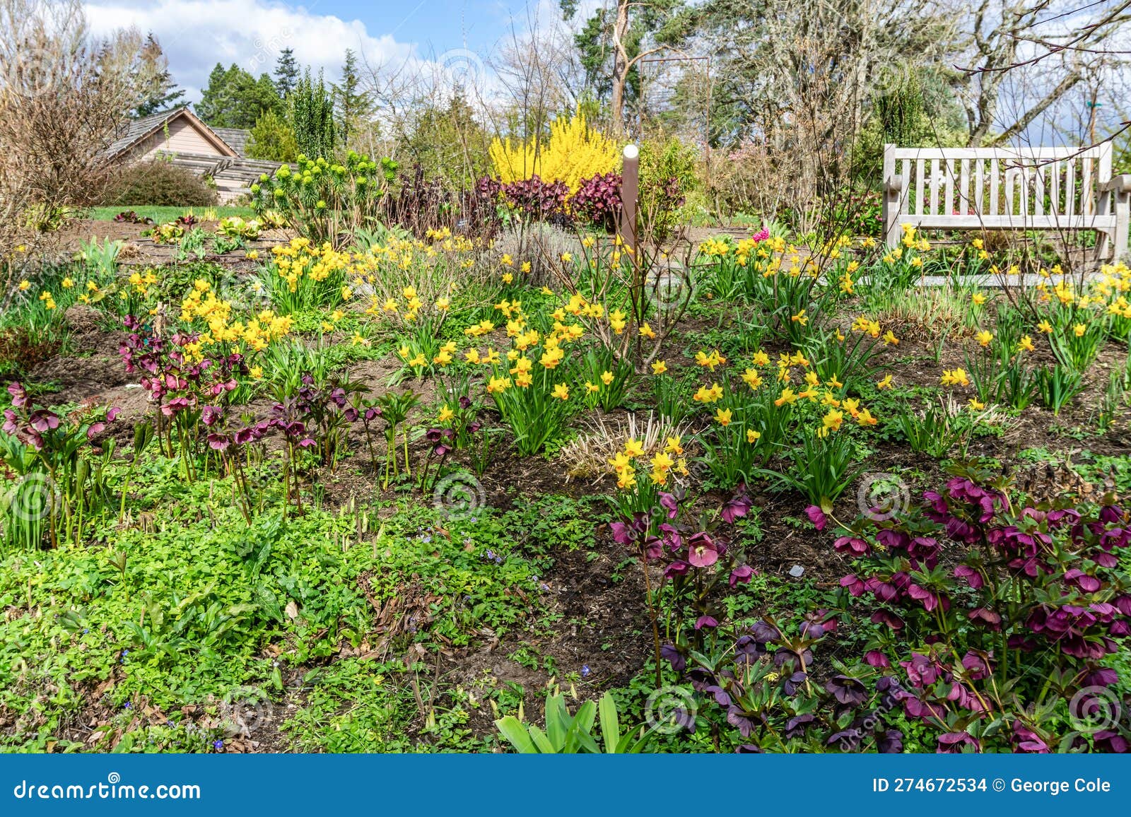 Bellevue Park Early Spring 4 Stock Photo - Image of path, spring: 274672534