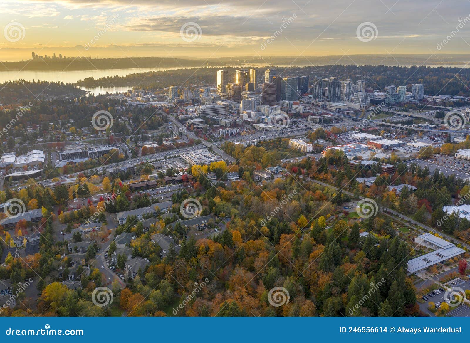 Sunset Over Bellevue with Seattle in the Backdrop in Washington State ...