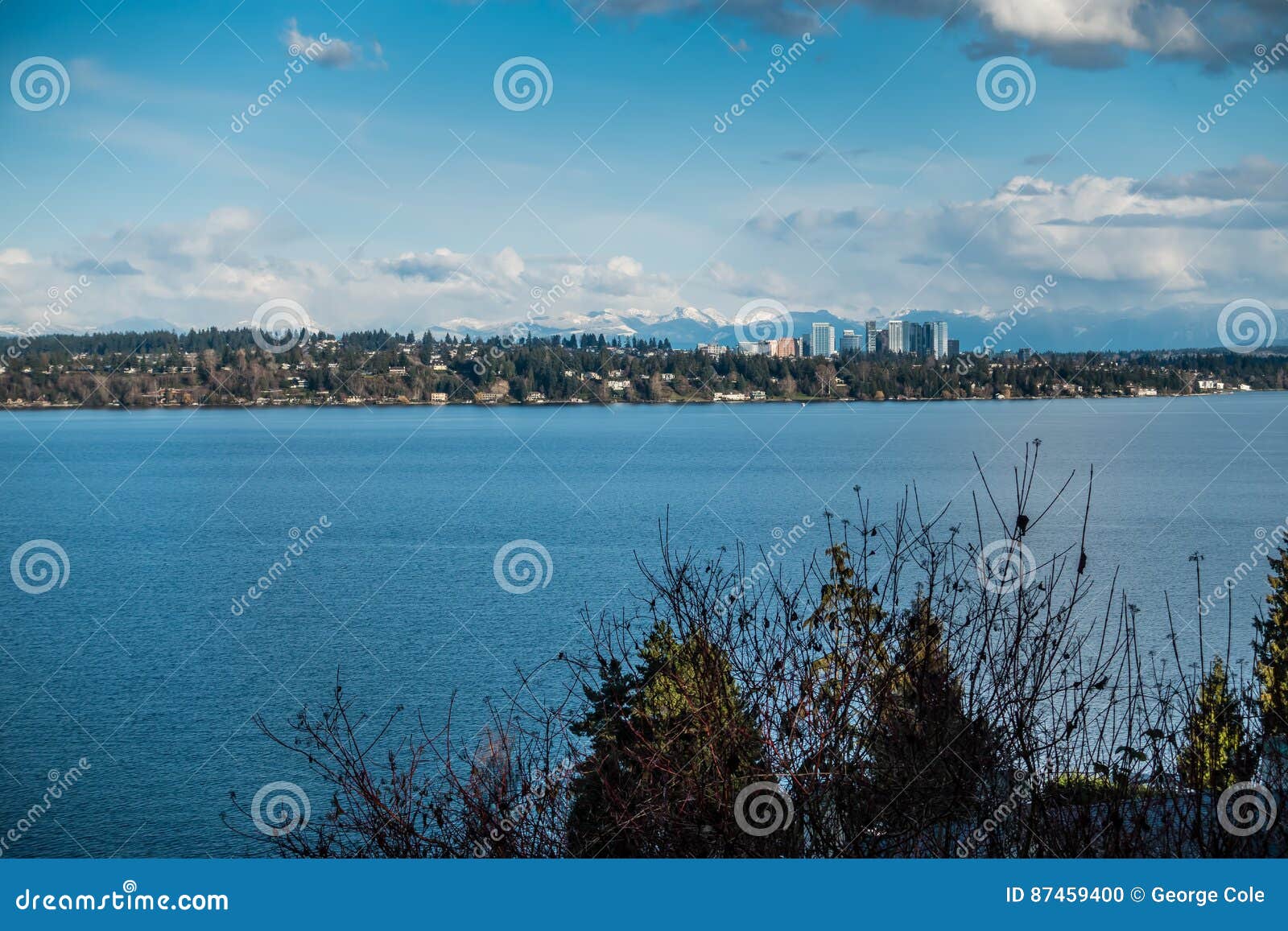 Bellevue Skyline and Mountains Stock Photo - Image of skycrapers, urban ...