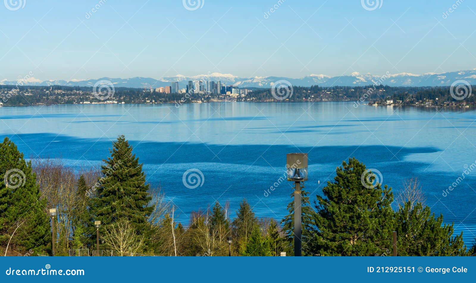 Bellevue Washington Skyline Stock Image - Image of skyline, trees ...