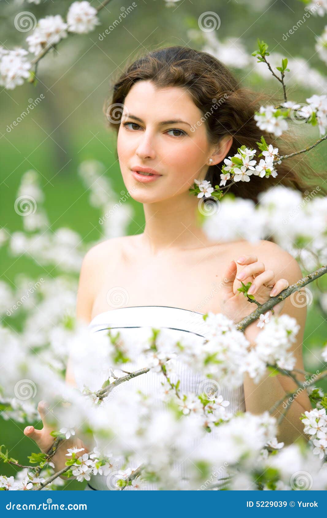 Bellezza di sorgente immagine stock. Immagine di brunetta - 5229039