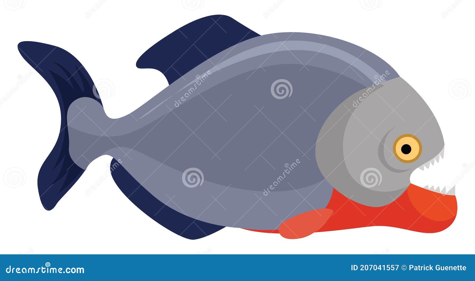 Piranha Illustration Cartoon Vector | CartoonDealer.com #84904663