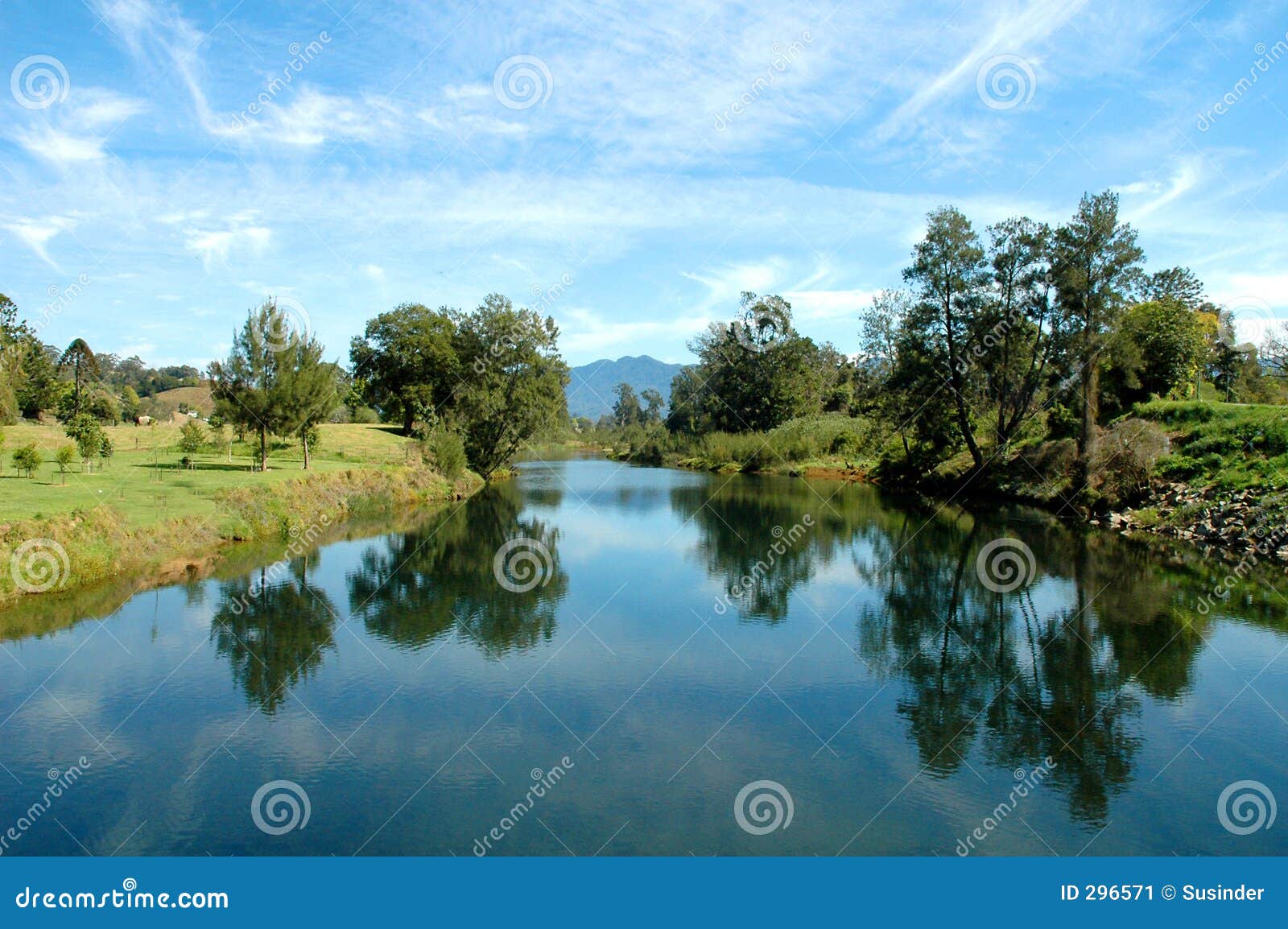 Bellinger River stock image. Image of landscape, river - 296571