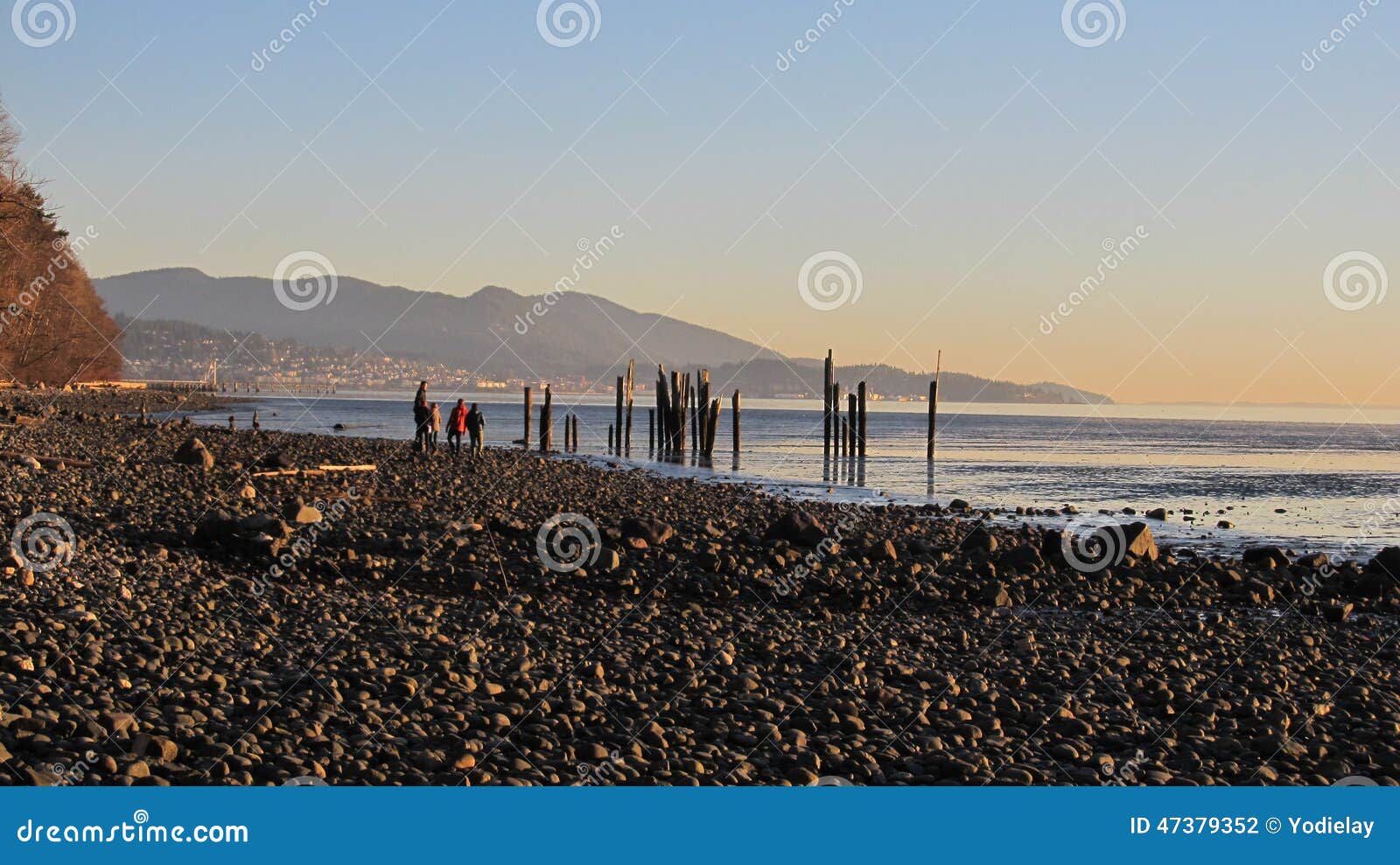 111 Locust Beach Stock Photos - Free & Royalty-Free Stock Photos from ...