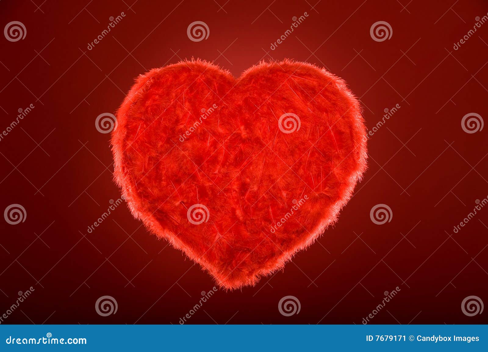 Bello cuore della piuma immagine stock. Immagine di lucidare - 7679171