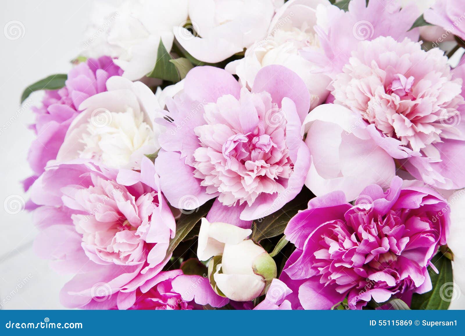 Bello Mazzo Delle Peonie Rosa E Bianche Immagine Stock - Immagine di ...