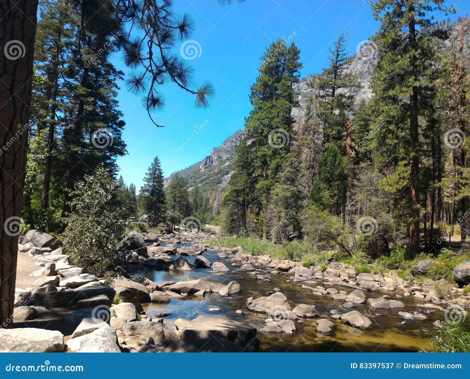Bello Paesaggio Della Torrente Montano Immagine Stock - Immagine di ...