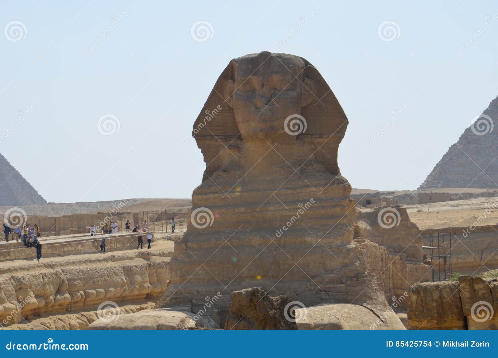 Bello Profilo Di Grande Sfinge Immagine Stock Editoriale - Immagine di ...