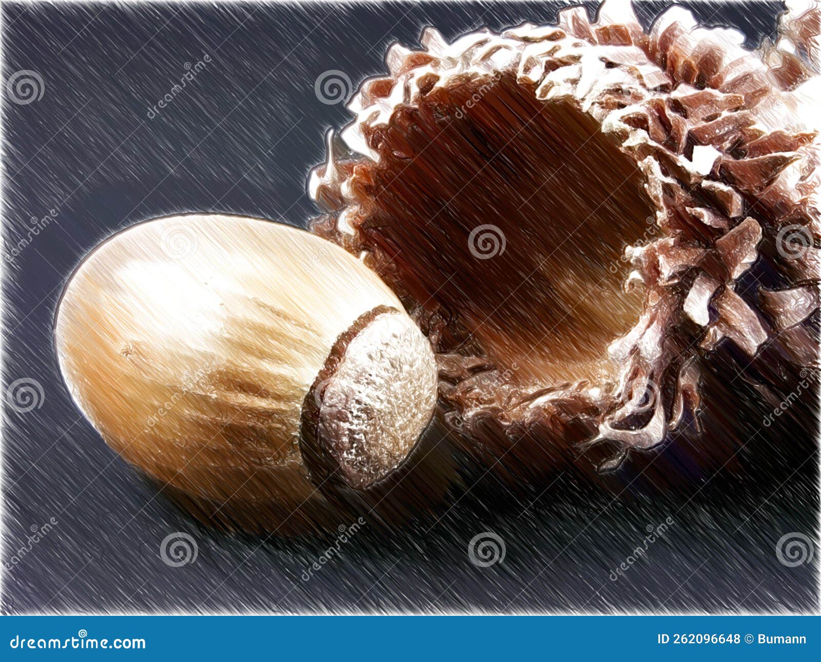 Bellota Fruto De La Nuez Del Quercus De Roble Foto de archivo - Imagen ...