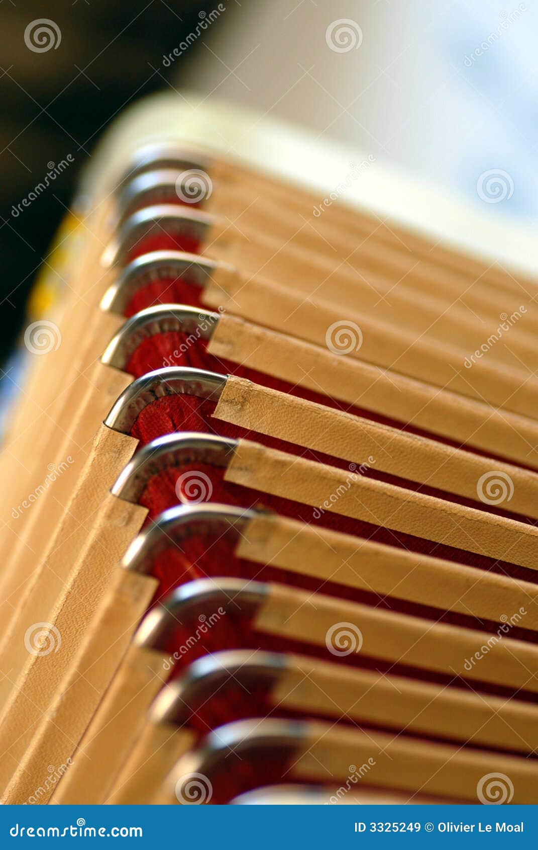 Bellows of Diatonic Accordion Stock Image - Image of musical ...