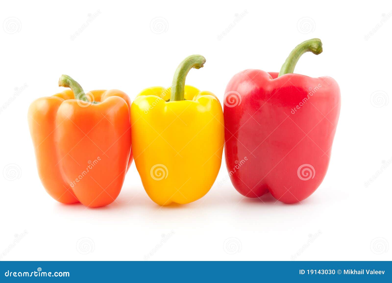 Bellpepper stock photo. Image of vitamin, cook, shiny - 19143030